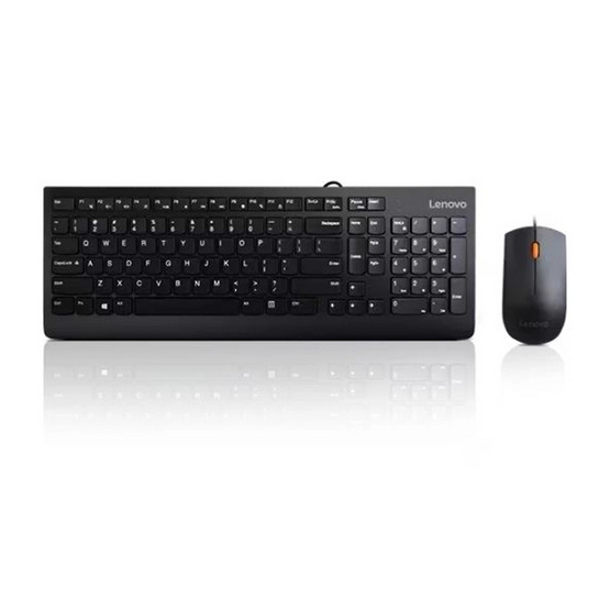 Lenovo 300 USB Combo Keyboard & Mouse (GX30M39641) - IRIS Technology
